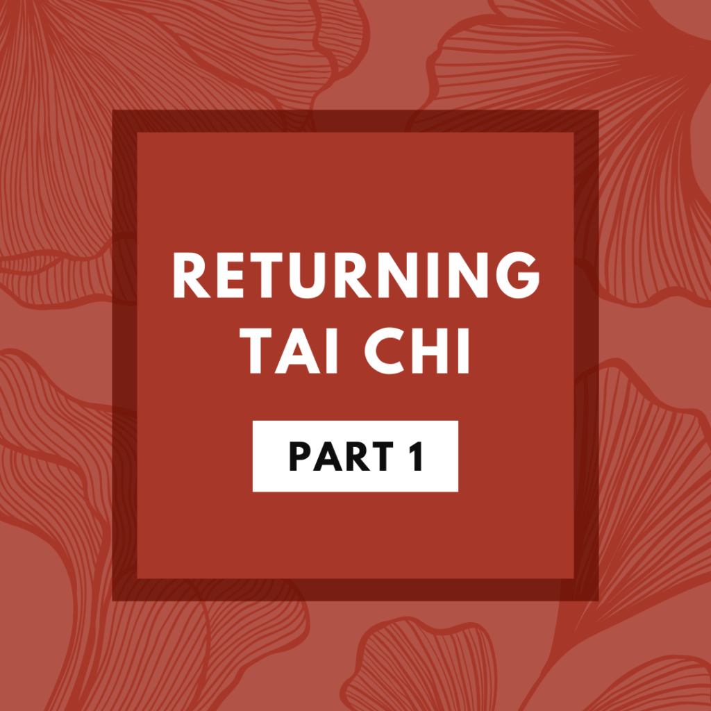 Returning Tai Chi - Internal Arts Institute